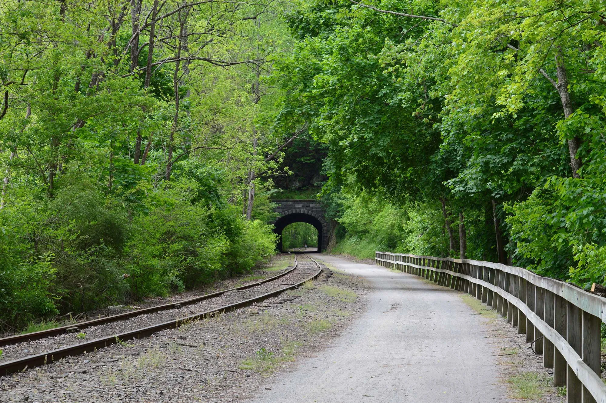 Ridge Augmentation York PA | Jaw Bone Loss | Alveolar Ridge